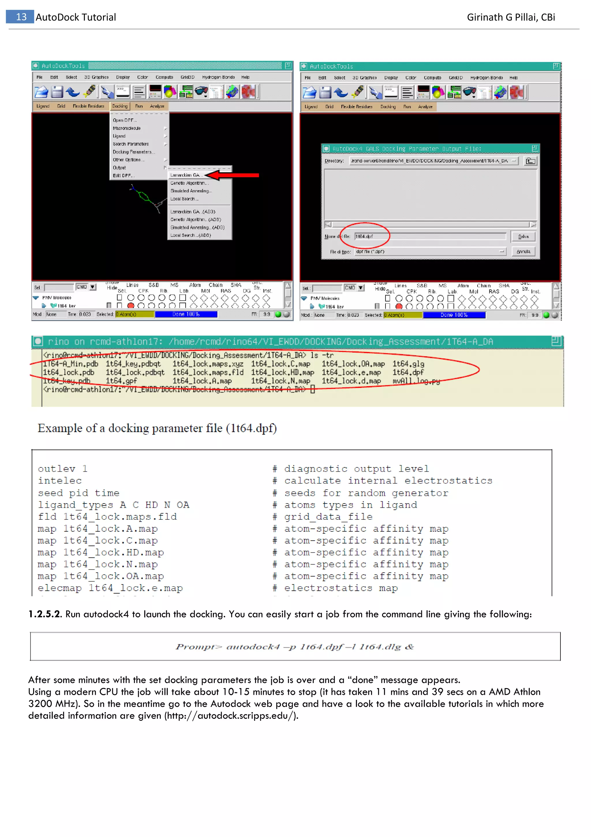 Autodock Made Easy with MGL Tools - Molecular Docking | PDF | Chemistry | Science