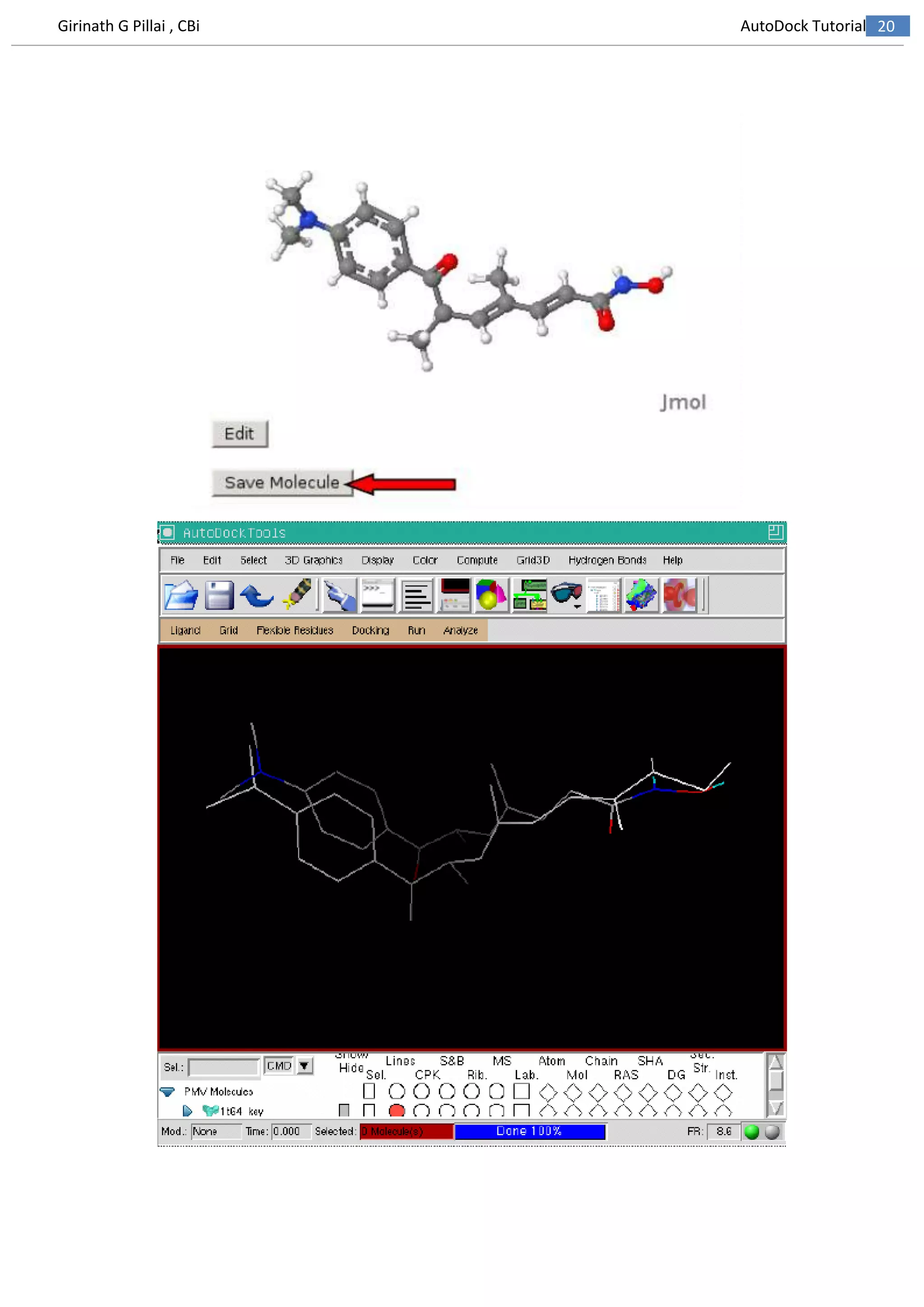 Autodock Made Easy with MGL Tools - Molecular Docking | PDF