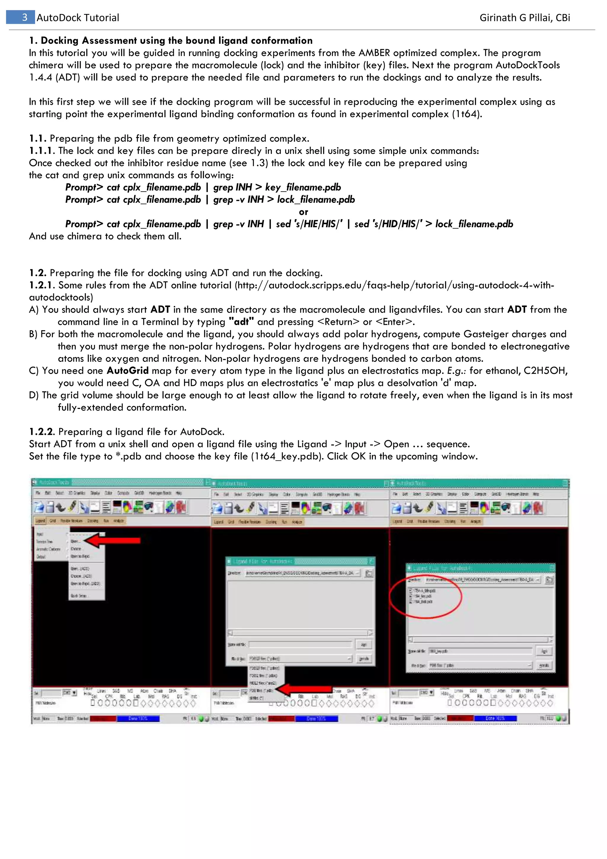 Autodock Made Easy with MGL Tools - Molecular Docking | PDF | Chemistry | Science