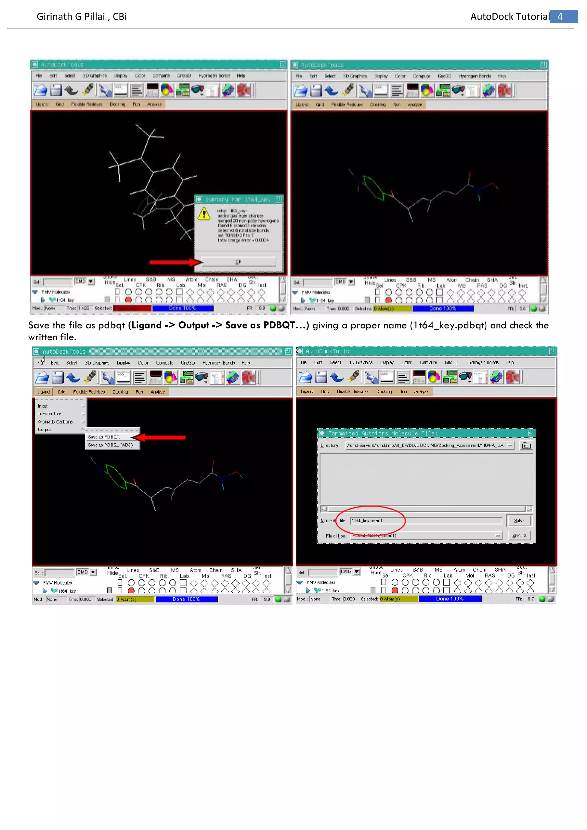 Autodock Made Easy with MGL Tools - Molecular Docking | PDF