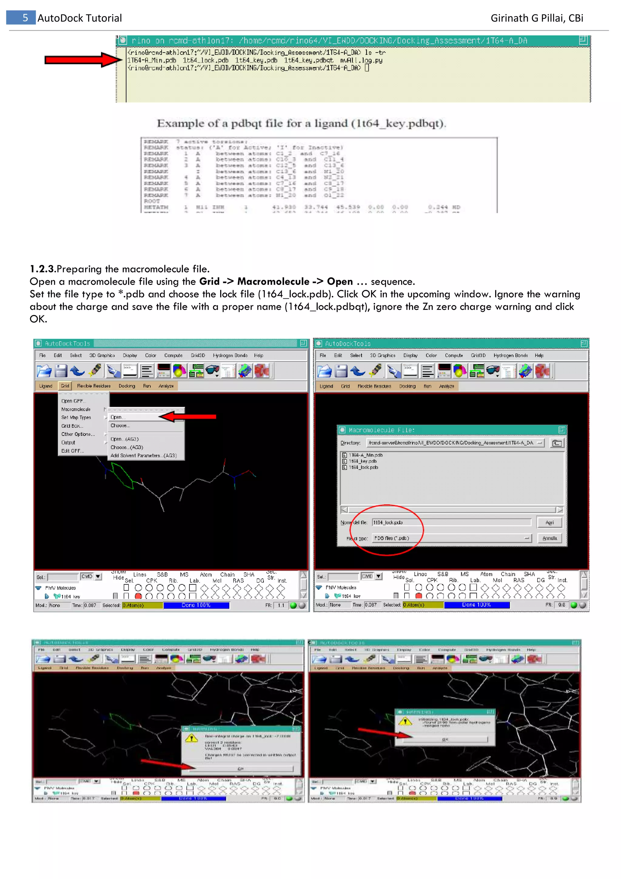 Autodock Made Easy with MGL Tools - Molecular Docking | PDF