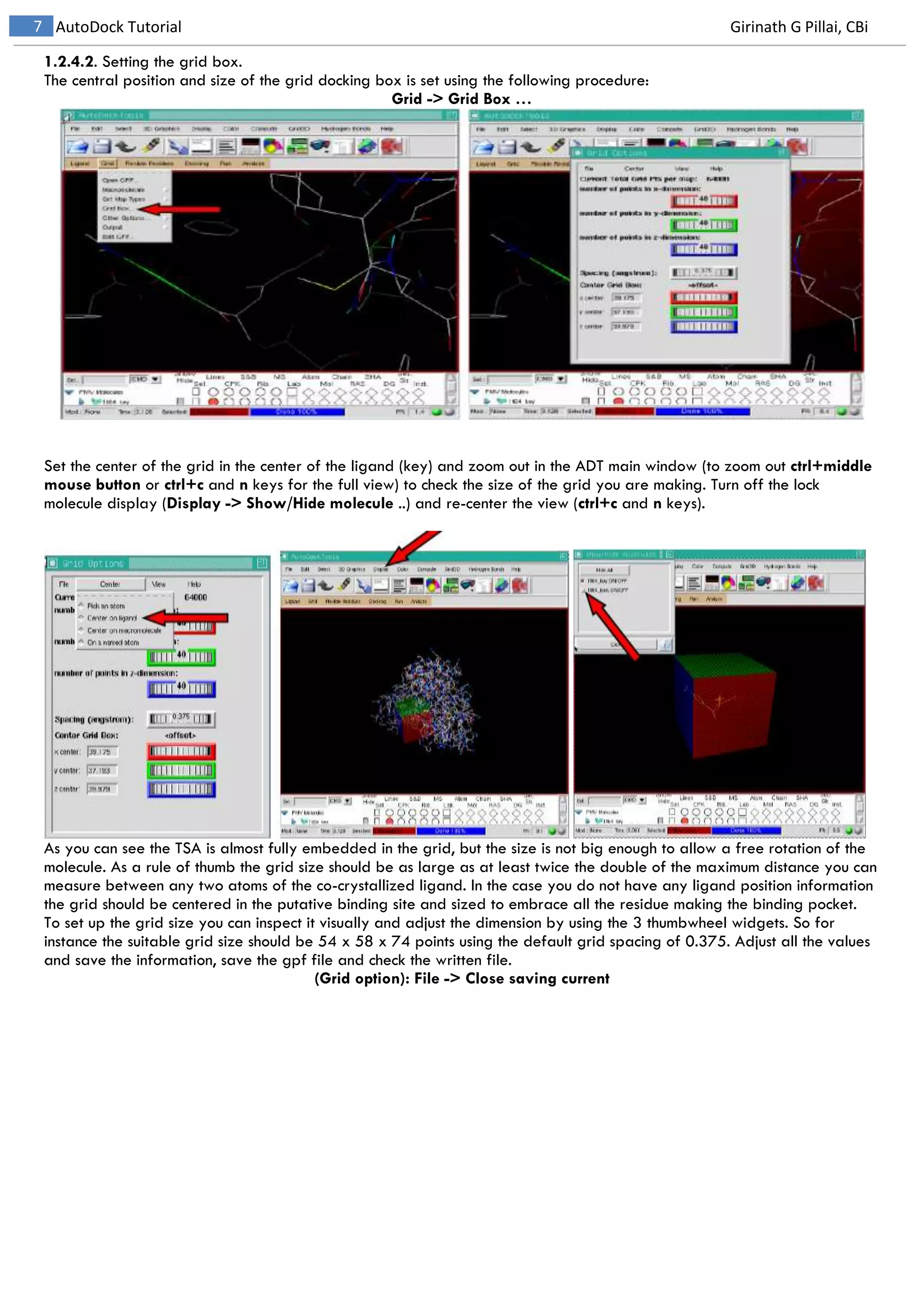 Autodock Made Easy with MGL Tools - Molecular Docking | PDF
