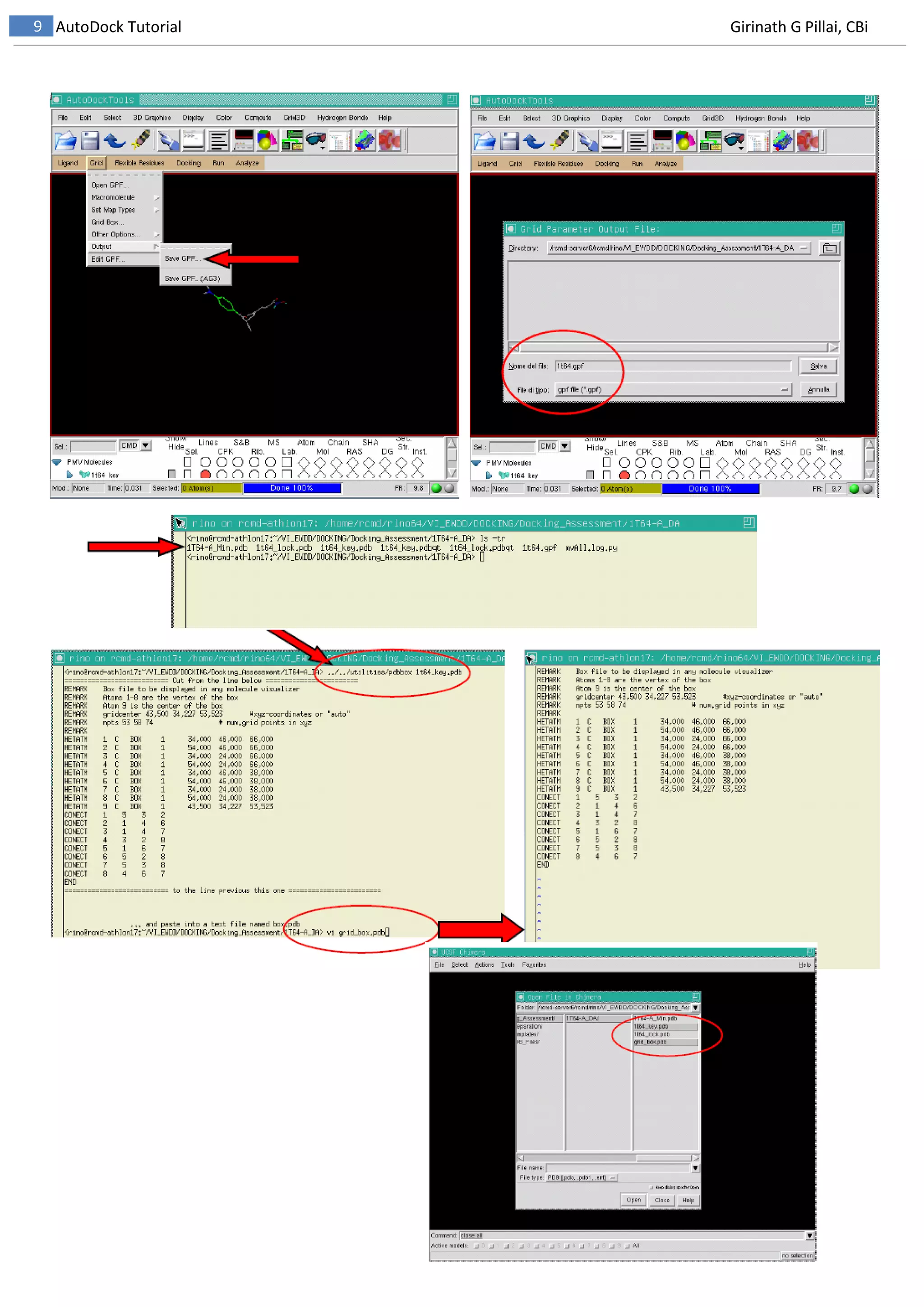 Autodock Made Easy with MGL Tools - Molecular Docking | PDF | Chemistry | Science