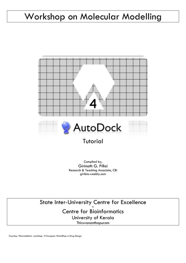Autodock Made Easy with MGL Tools - Molecular Docking | PDF | Chemistry | Science