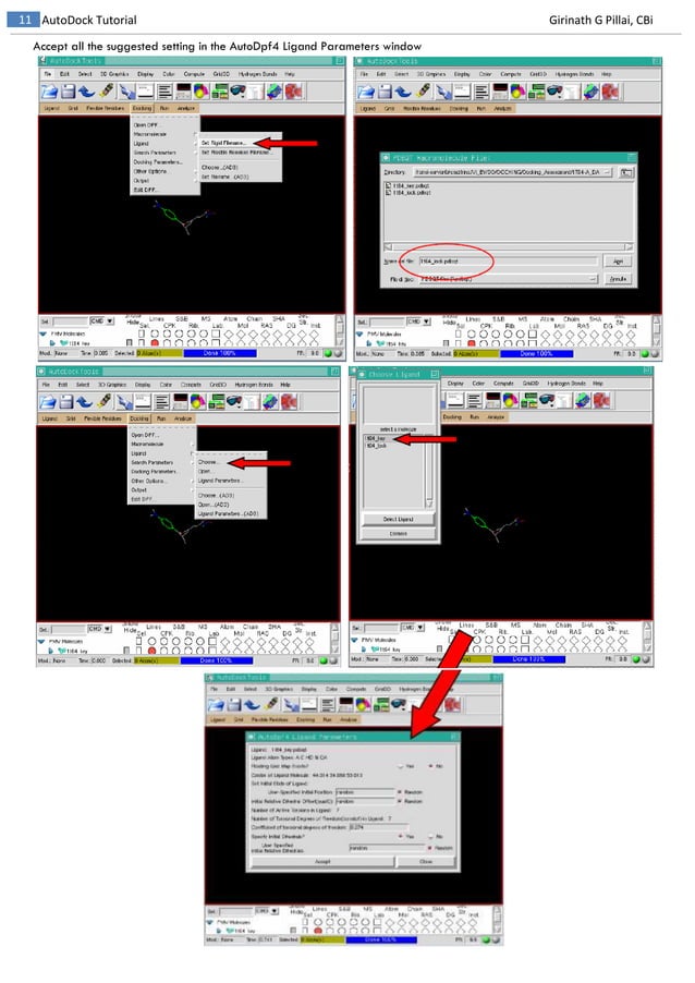 Autodock Made Easy with MGL Tools - Molecular Docking | PDF | Chemistry | Science