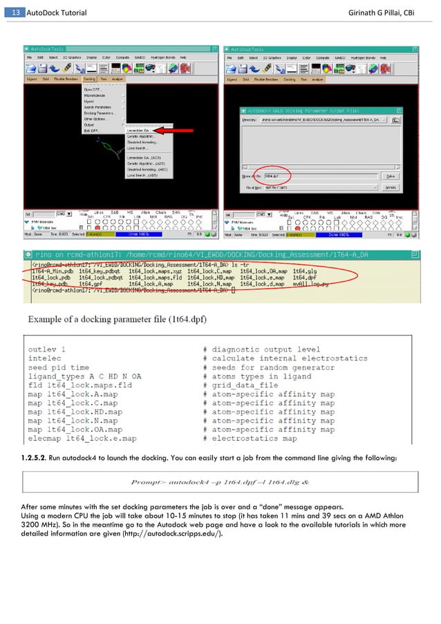Autodock Made Easy with MGL Tools - Molecular Docking | PDF | Chemistry | Science