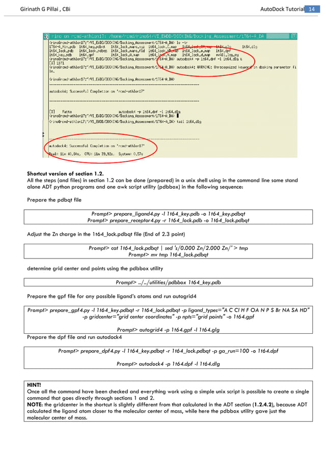 Autodock Made Easy with MGL Tools - Molecular Docking | PDF | Chemistry | Science