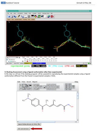 Autodock Made Easy with MGL Tools - Molecular Docking | PDF | Chemistry ...