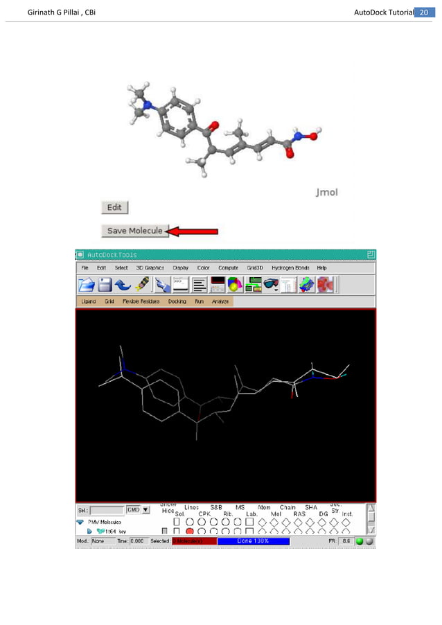 Autodock Made Easy with MGL Tools - Molecular Docking | PDF | Chemistry ...