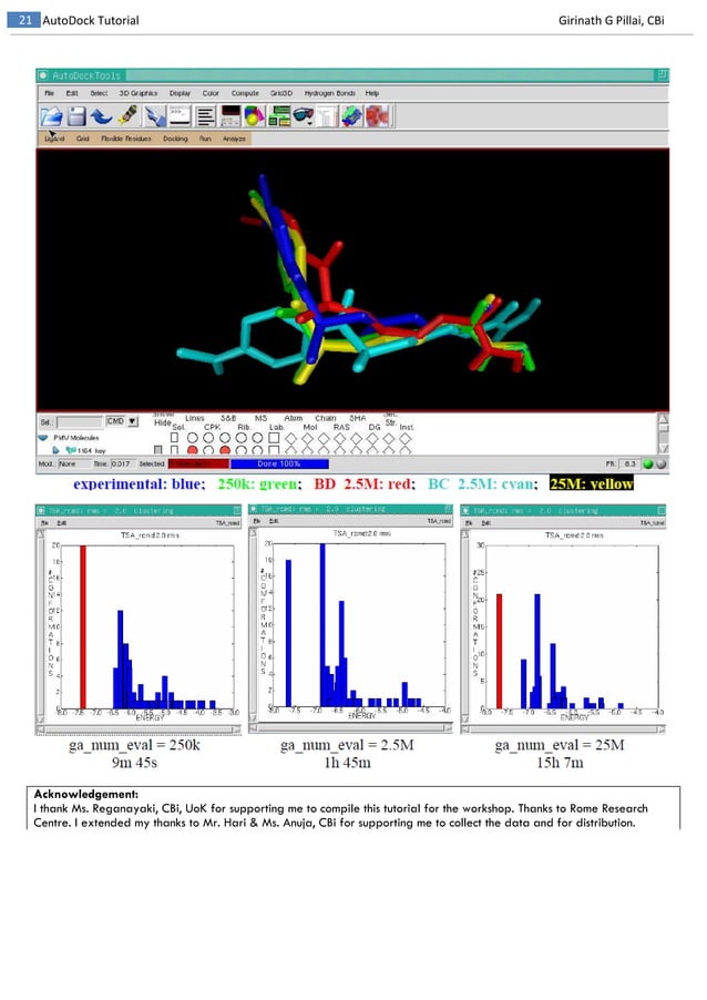 Autodock Made Easy with MGL Tools - Molecular Docking | PDF | Chemistry | Science