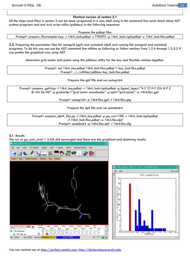 Autodock Made Easy with MGL Tools - Molecular Docking | PDF | Chemistry | Science