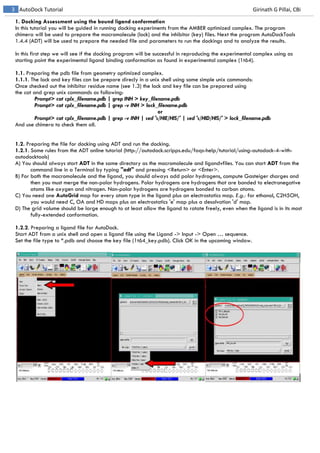 Autodock Made Easy with MGL Tools - Molecular Docking | PDF | Chemistry ...