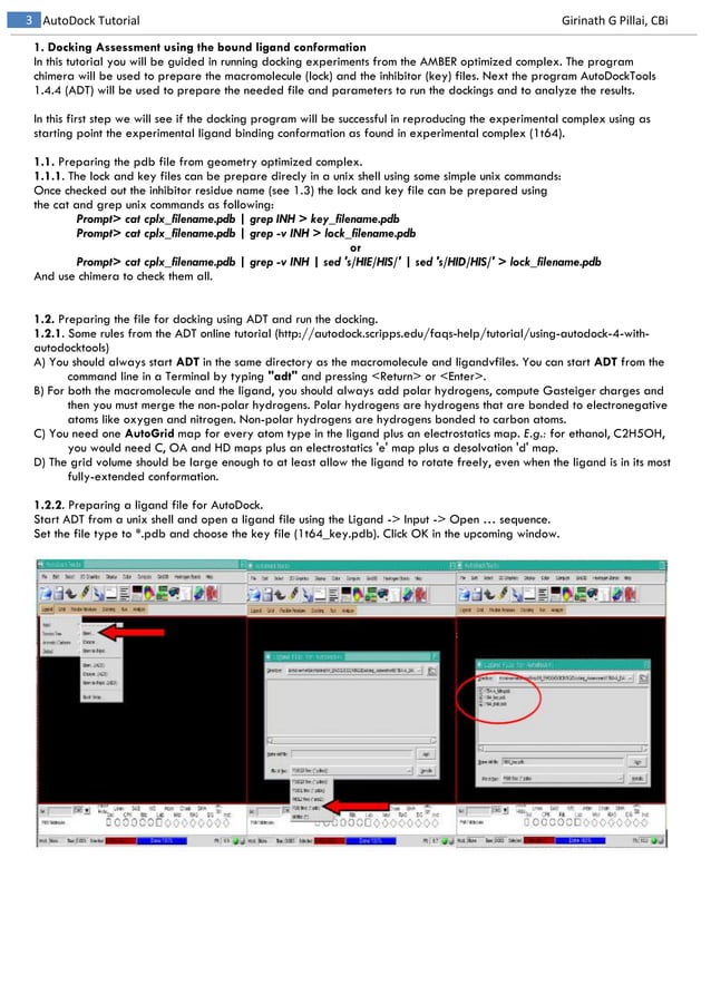Autodock Made Easy with MGL Tools - Molecular Docking | PDF | Chemistry | Science