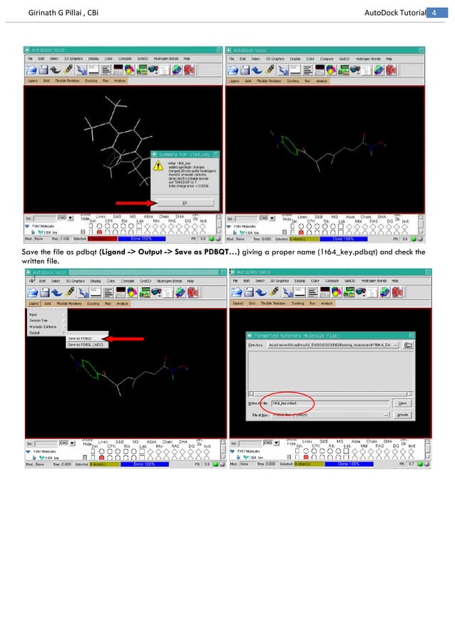 Autodock Made Easy with MGL Tools - Molecular Docking | PDF | Chemistry ...