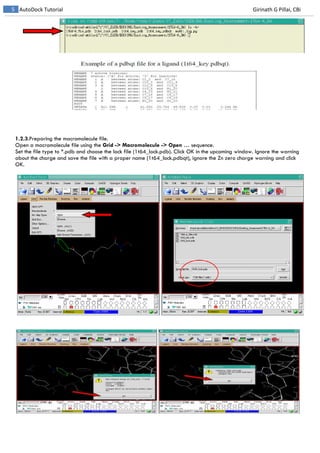 Autodock Made Easy with MGL Tools - Molecular Docking | PDF | Chemistry ...