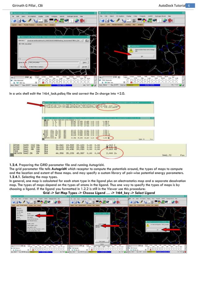 Autodock Made Easy with MGL Tools - Molecular Docking | PDF | Chemistry ...