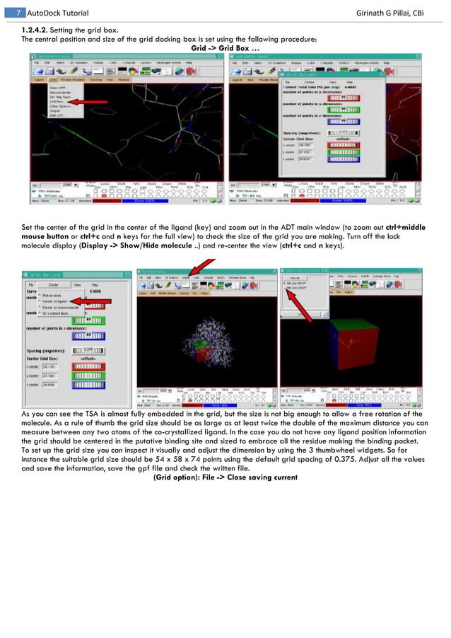 Autodock Made Easy with MGL Tools - Molecular Docking | PDF | Chemistry | Science
