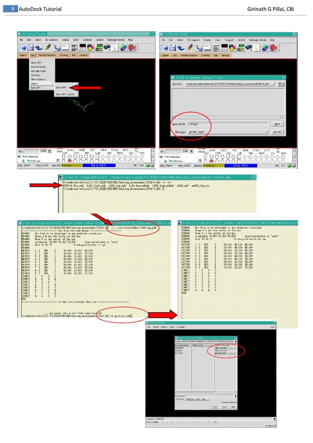 Autodock Made Easy with MGL Tools - Molecular Docking | PDF | Chemistry | Science