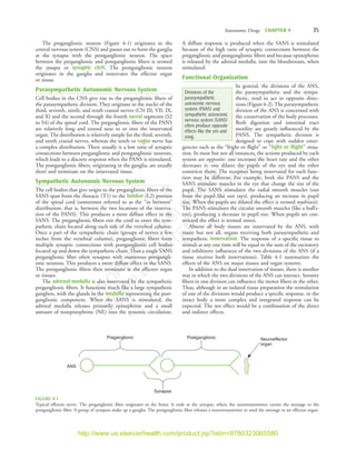 Auto drugs | PDF
