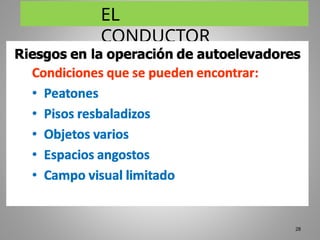 Comprehensive Training and History of Forklift Operation at Planta ...
