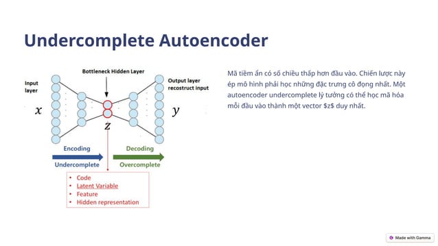 Autoencoder-Tong-quan-va-Cac-Bien-The.pptx