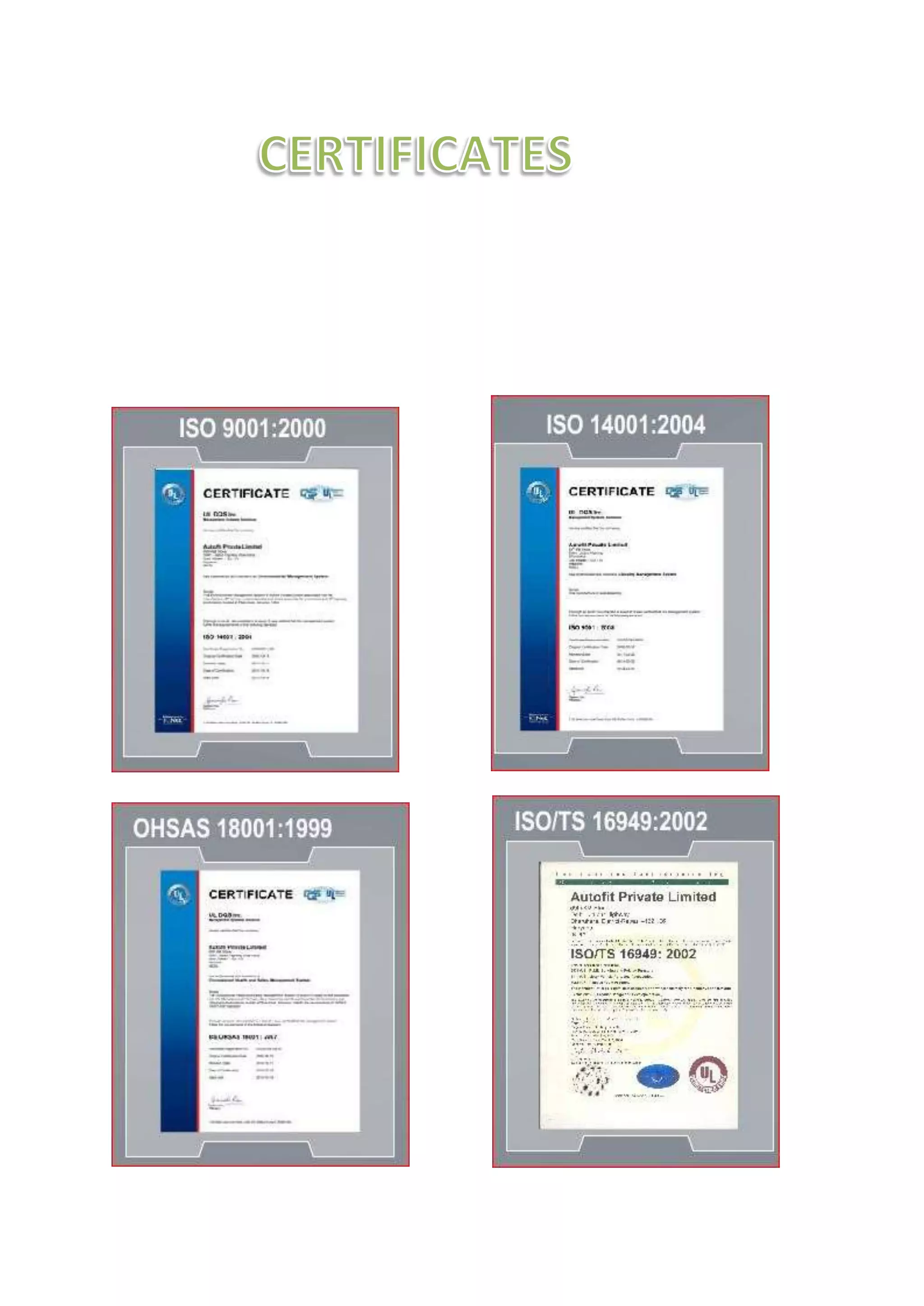 Autofit pvt ltd report | DOCX