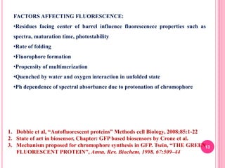 Autofluorscent protein based biosensor | PPT