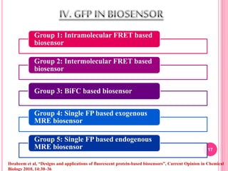 Autofluorscent protein based biosensor | PPT