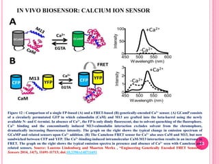 Autofluorscent protein based biosensor | PPT