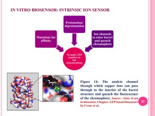 Autofluorscent protein based biosensor | PPTX