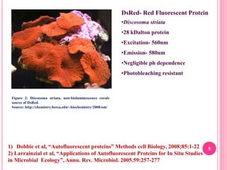 Autofluorscent protein based biosensor | PPT