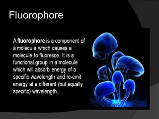 Autofluorescence | PPTX