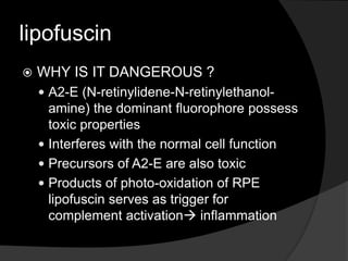 Autofluorescence | PPTX