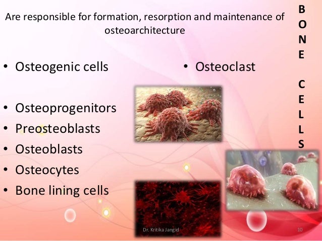 Autogenous bone grafting