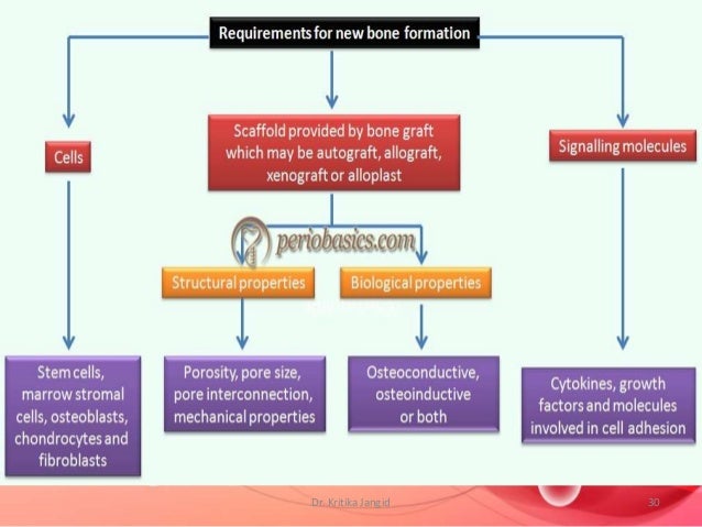 Autogenous bone grafting