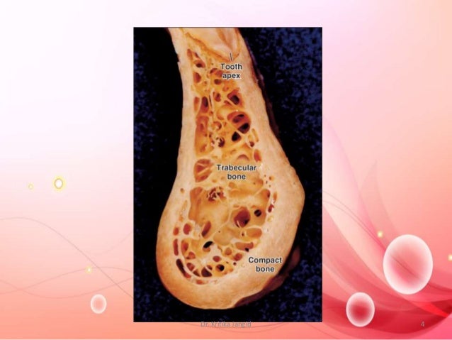 Autogenous bone grafting