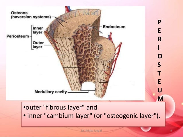 Autogenous bone grafting