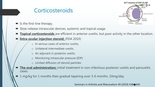 Autoimmue uveitis | PPTX
