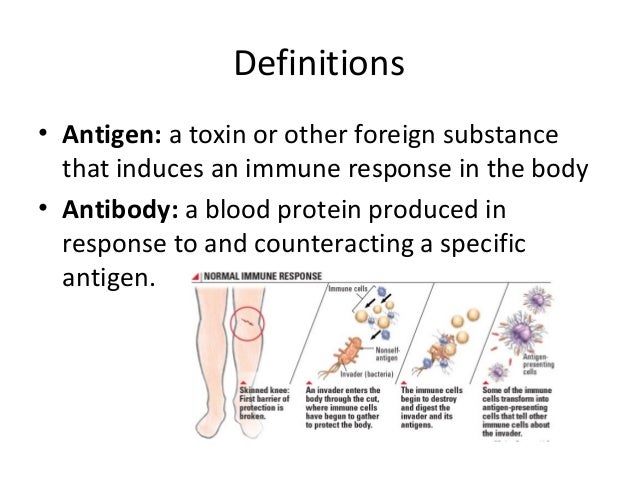 Autoimmune Disease: Understanding the Inflammation Within