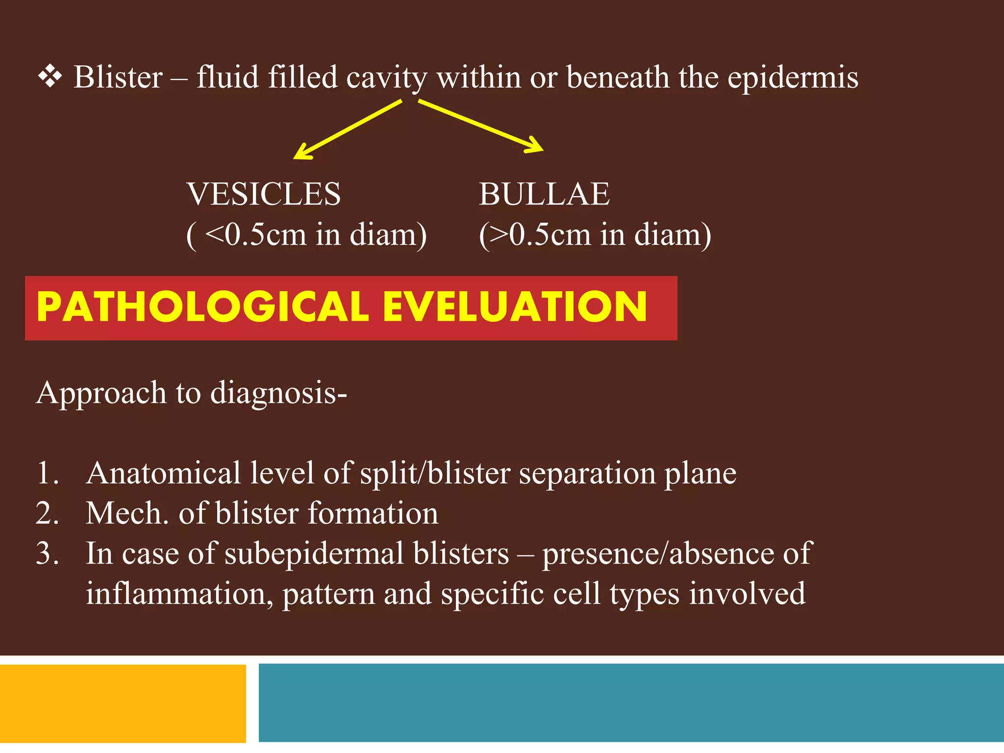 Autoimmune bullous lesions of skin | PPTX