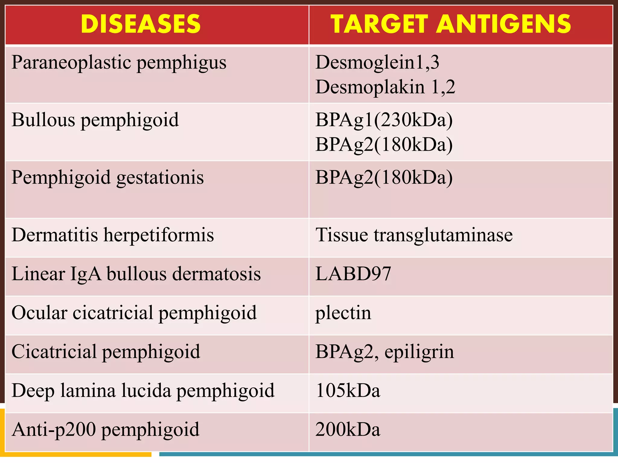 Autoimmune bullous lesions of skin | PPTX