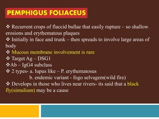Autoimmune bullous lesions of skin | PPTX