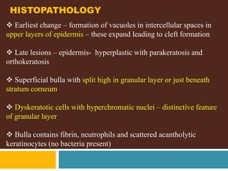Autoimmune bullous lesions of skin | PPTX