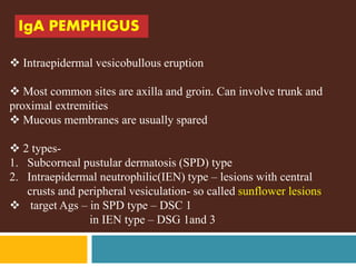 Autoimmune bullous lesions of skin | PPTX