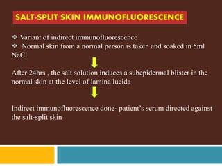 Autoimmune bullous lesions of skin | PPTX
