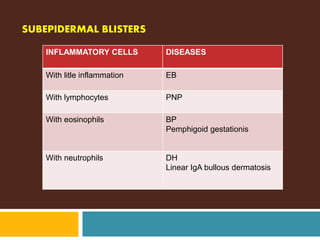 Autoimmune bullous lesions of skin | PPTX