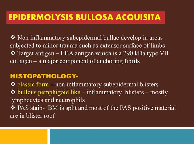 Autoimmune bullous lesions of skin | PPTX | Skin and Dermatology ...