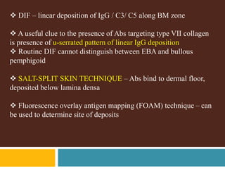 Autoimmune bullous lesions of skin | PPTX
