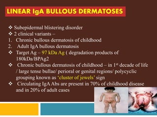Autoimmune bullous lesions of skin | PPTX
