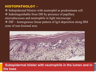 Autoimmune bullous lesions of skin | PPTX